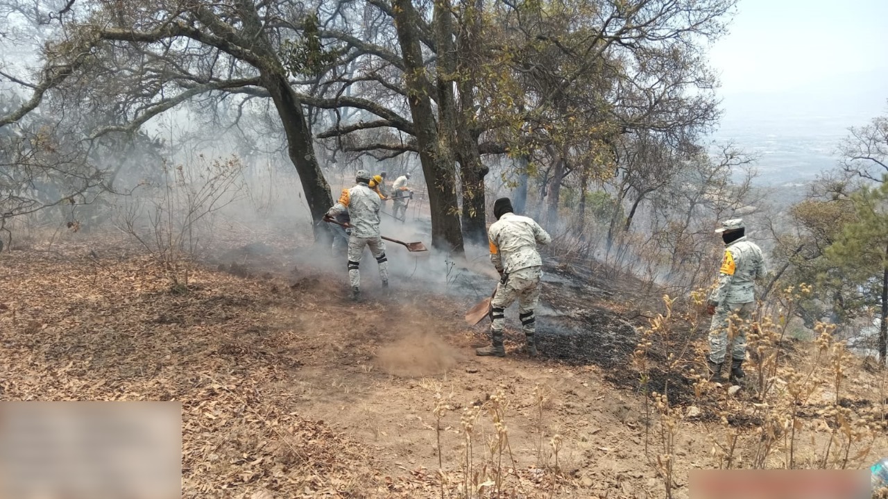 Avanza control del incendio forestal en la Sierra de Puruagua; se ...